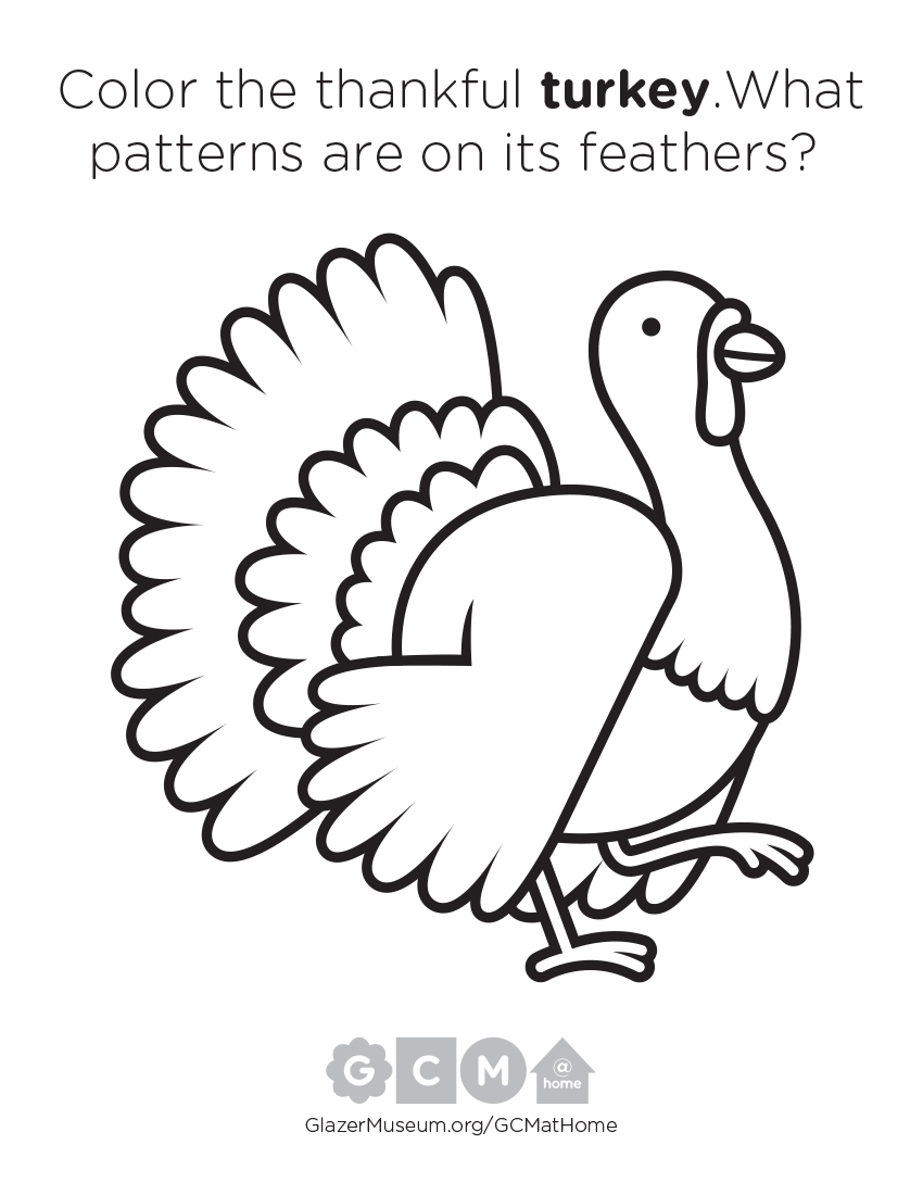 Turkey Fun Facts | Glazer Children's Museum